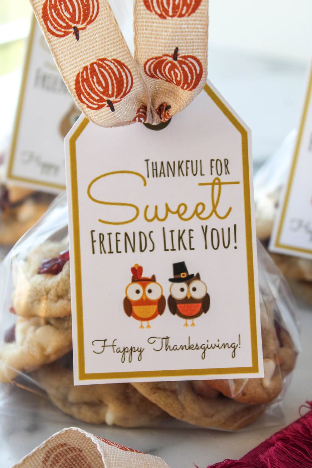 Thankful for Sweet Friends Like You Free Printable Gift Tags - Baking ...