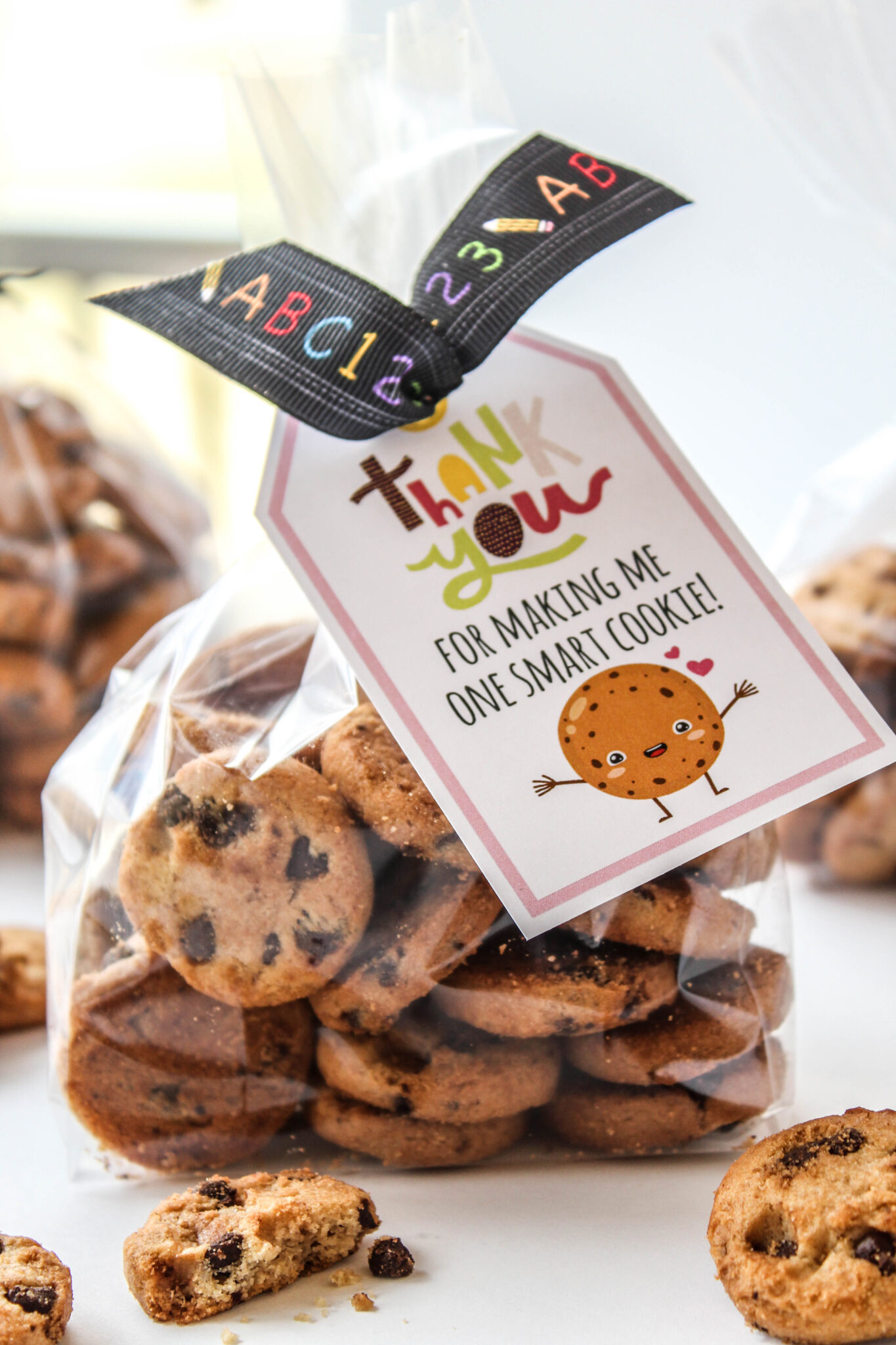 Thank You for Making Me One Smart Cookie Free Printable Gift Tags ...