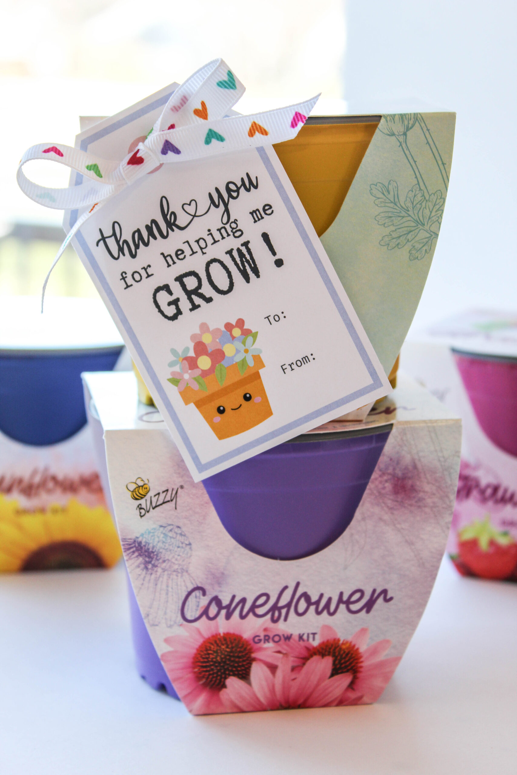 Thank You for Helping Me Grow Free Printable Gift Tags - Baking You Happier