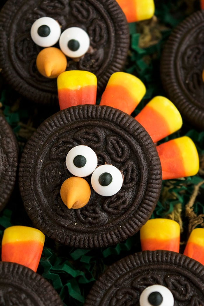 10 Cute Thanksgiving Turkey Candy Treats - Baking You Happier