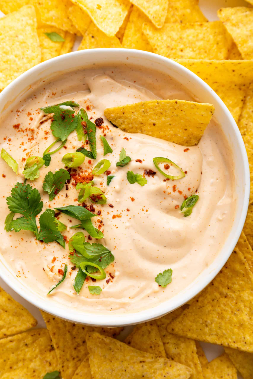 25 Party Dip Recipes | Baking You Happier